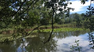 Bilder zu Tourenbericht 20/02* W Aubinger Lohe - Alpenverein München ...